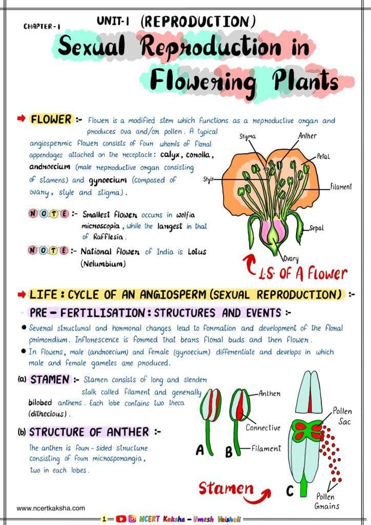 Class 12 Biology Short Notes (The Best) 2024-2025 – NCERT Kaksha