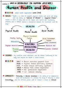 Class 12 Biology Short Notes (The Best) 2024-2025 – NCERT Kaksha